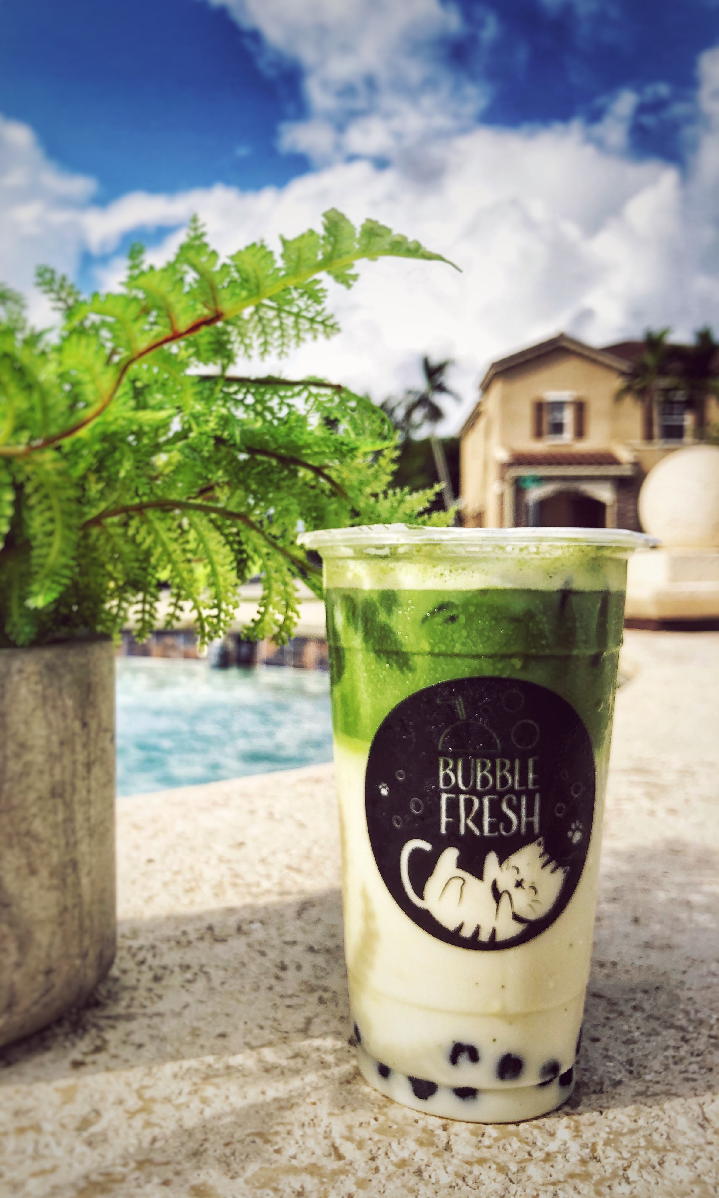 Bubble Fresh BOBA Milk Tea | Bubble Fresh - Cloud Boba Tea Shop