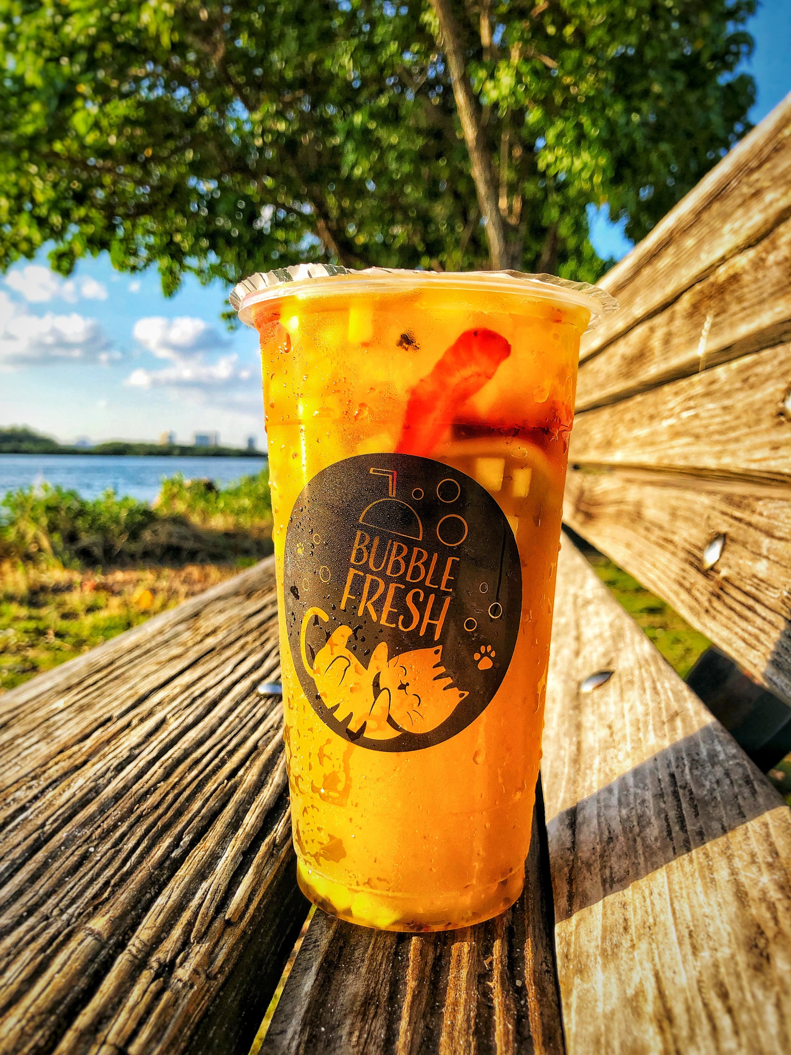 Bubble Fresh Fruit BOBA Tea | Bubble Fresh - Cloud Boba Tea Shop